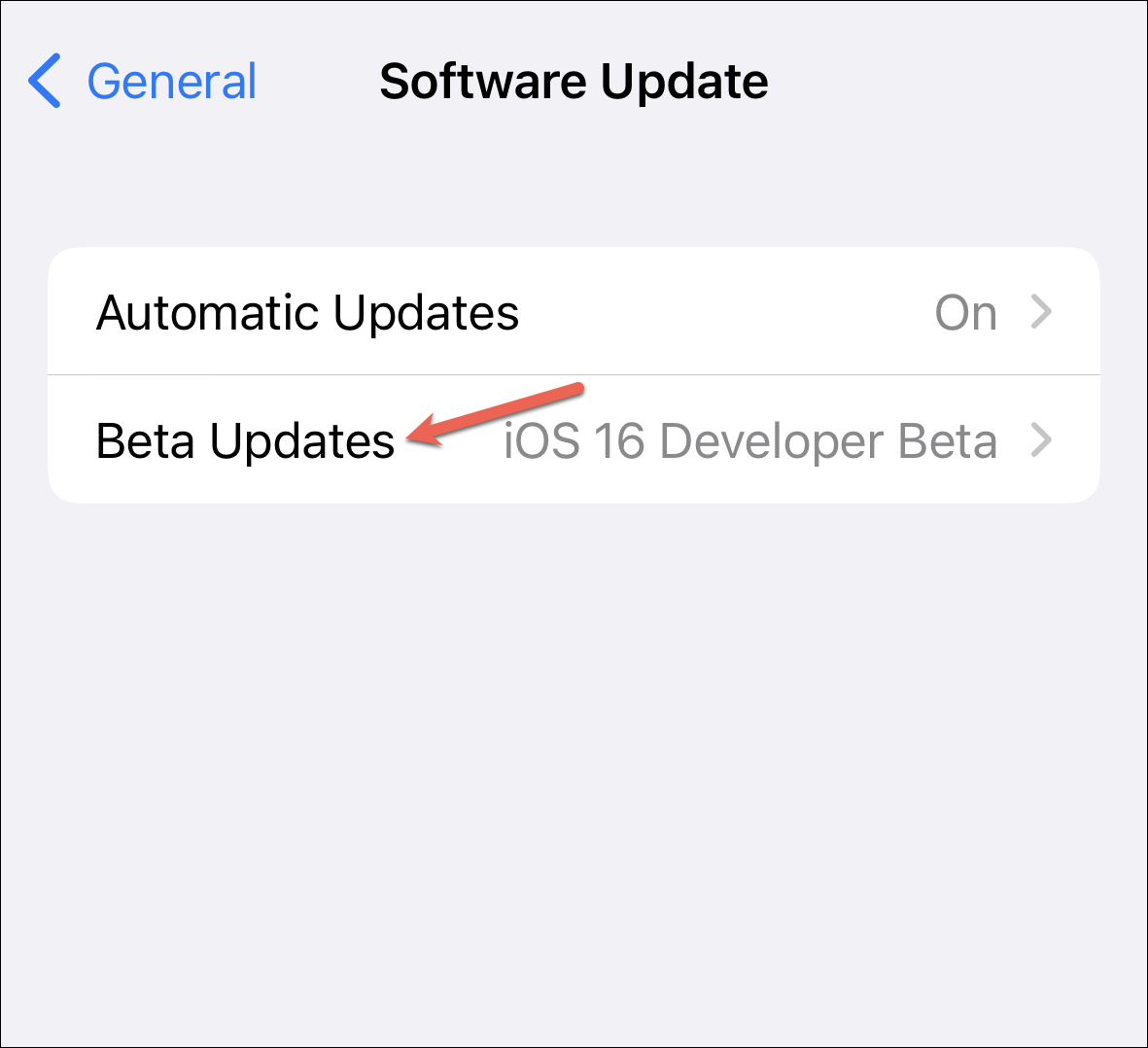 How to Enable Beta Updates on iPhone and iPad