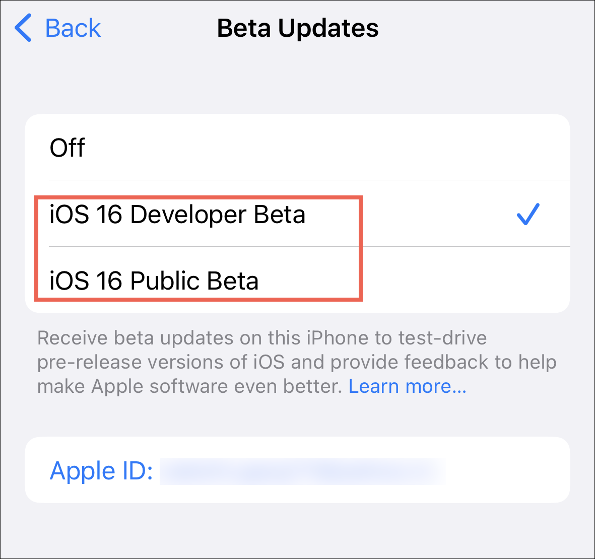 How to Enable Beta Updates on iPhone and iPad