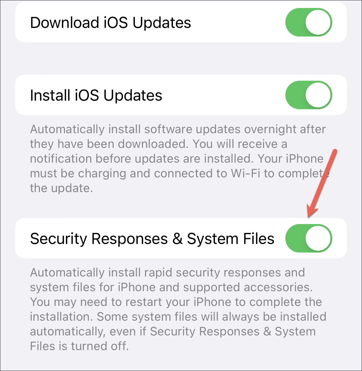 What is iOS and MacOS Rapid Security Response?