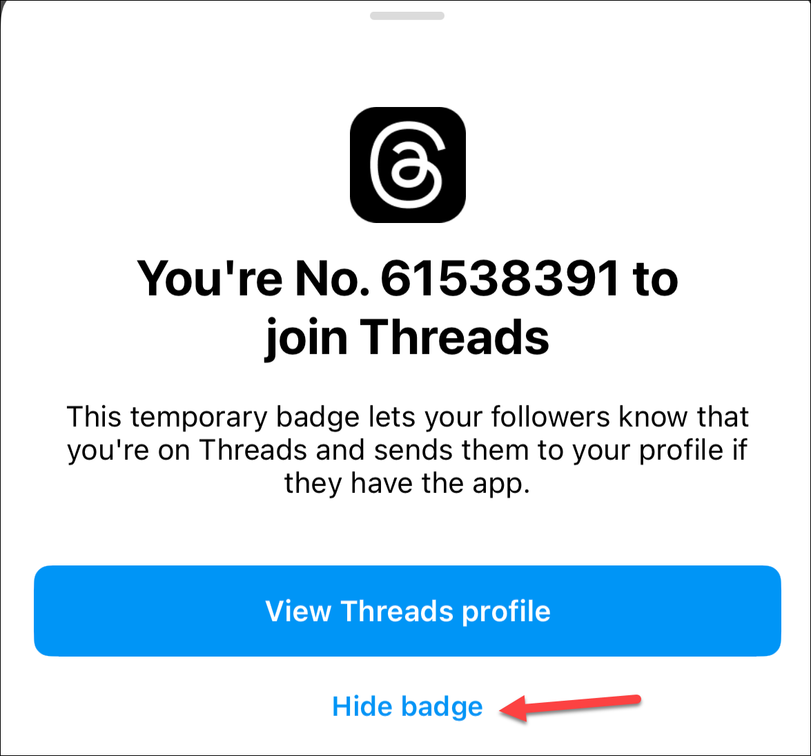 How to Remove or Hide Threads Badge from Instagram Profile