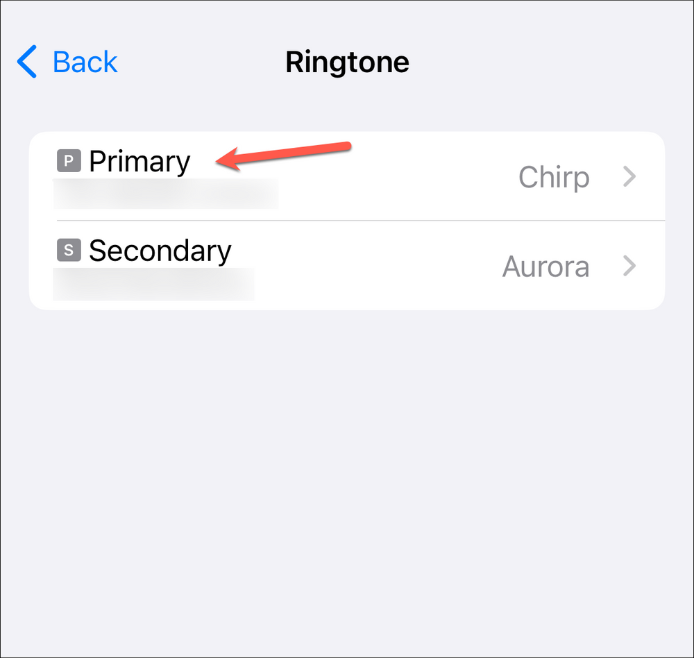 How to Set a Different Ringtone for Each SIM on iPhone with iOS 17