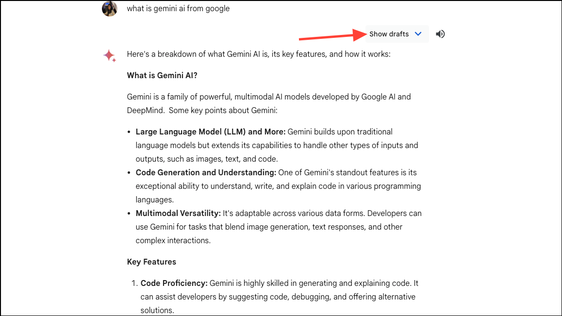 How to Use Gemini AI