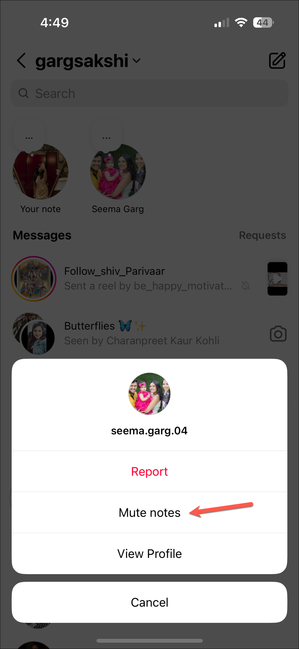 How to See Notes on Instagram