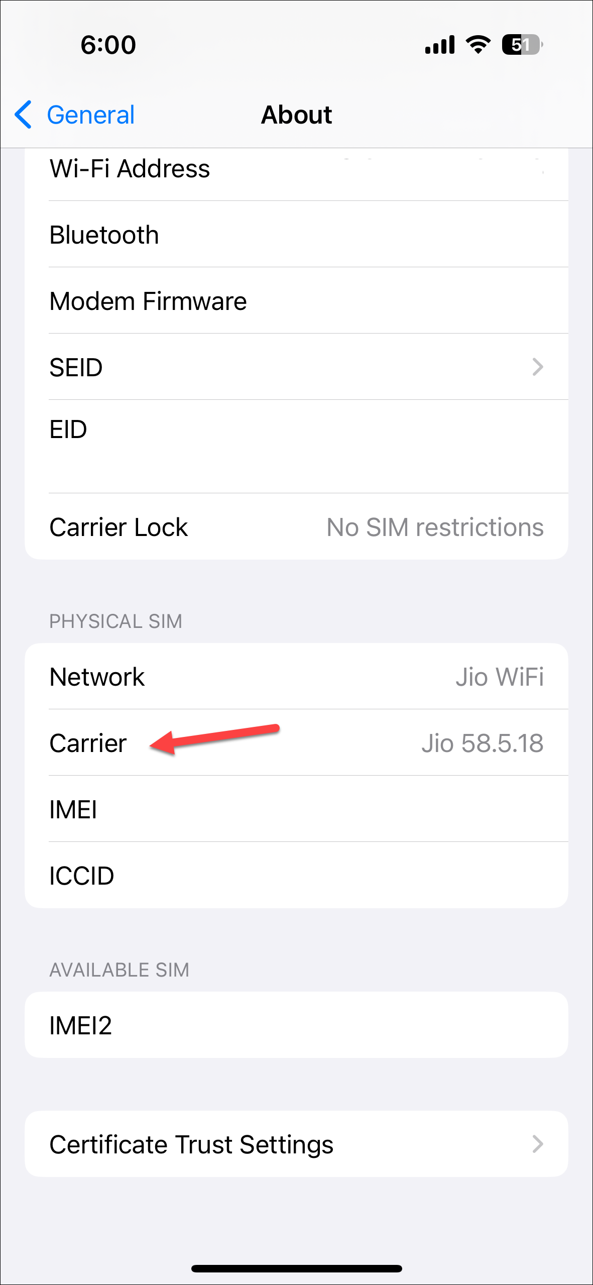 How to check if your carrier supports RCS messaging on iPhone