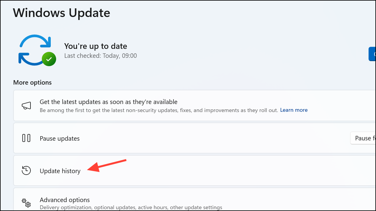 Restore Mouse Cursor Disappeared After Windows 11 Updates