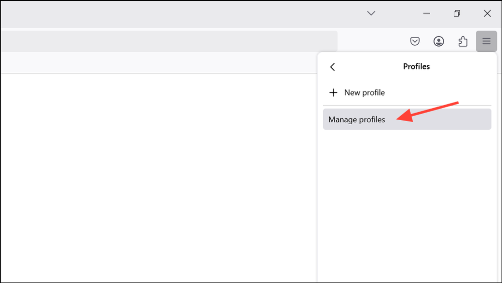Use the New Updated Profile Manager in Firefox