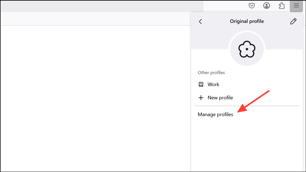 Use the New Updated Profile Manager in Firefox