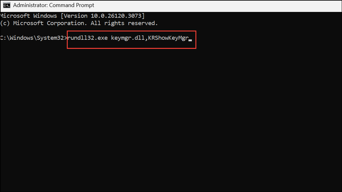 View Saved Passwords on Windows 11