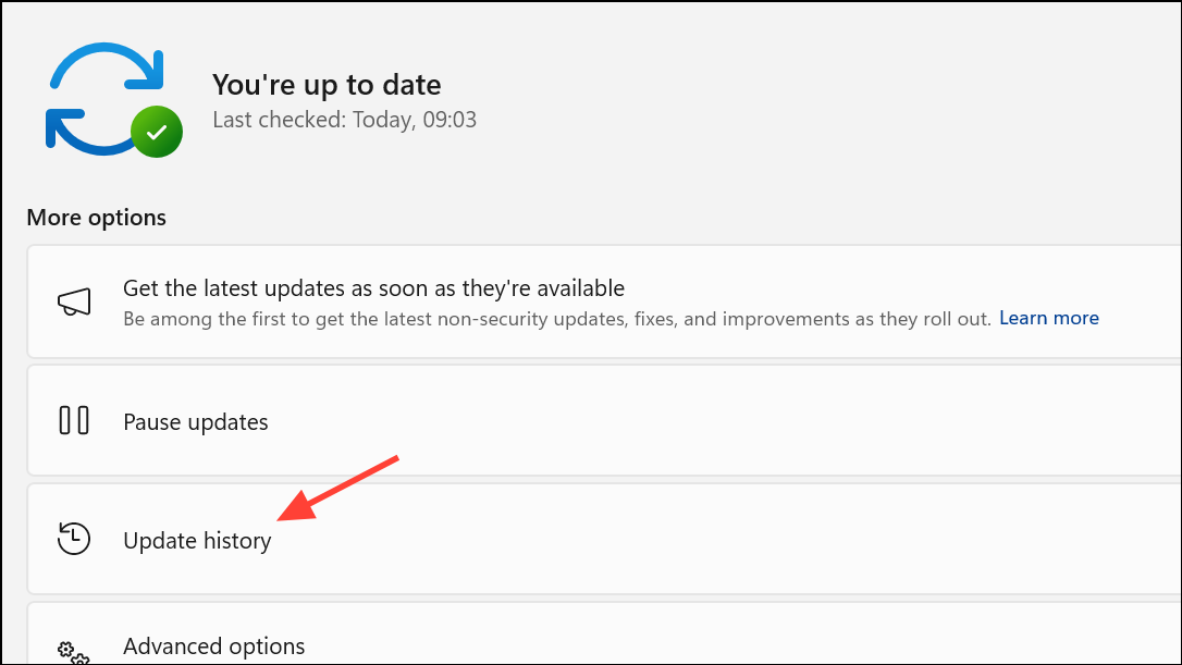 Fix Windows 11 Stuck on Preparing Security Options