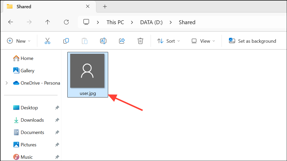 Remove Default Sign In User Account Picture on Windows 11