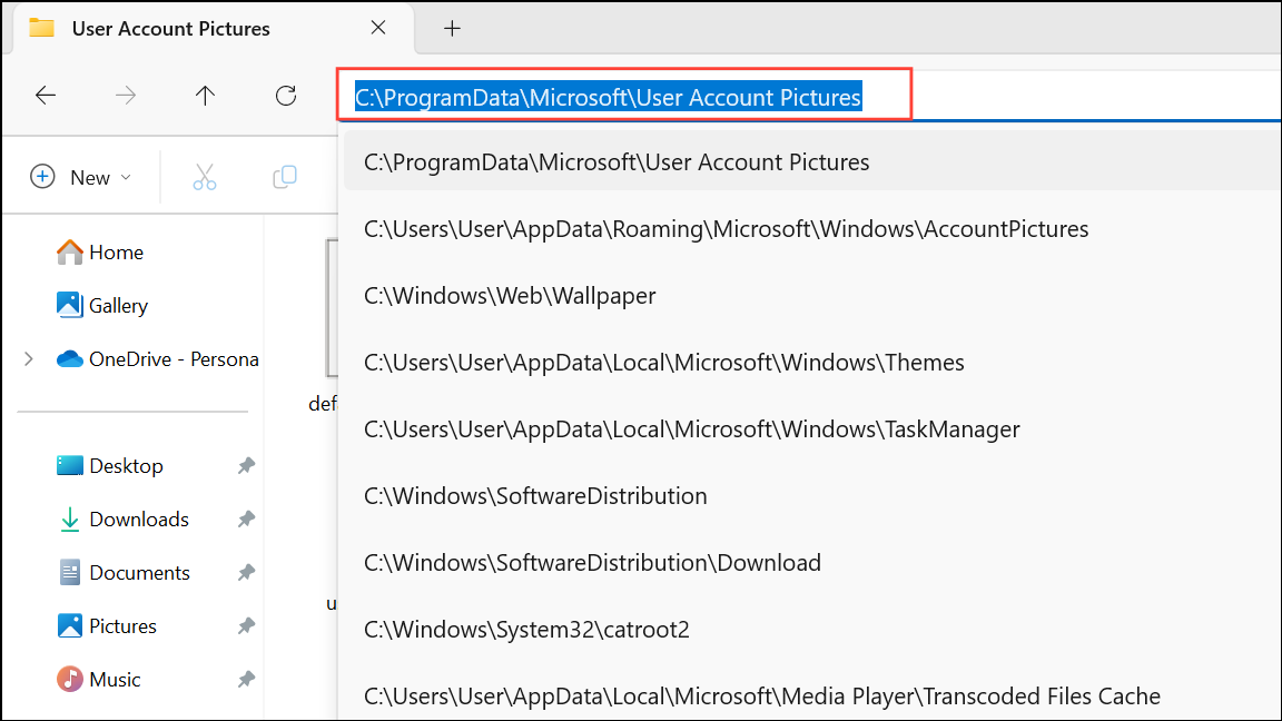 Remove Default Sign In User Account Picture on Windows 11