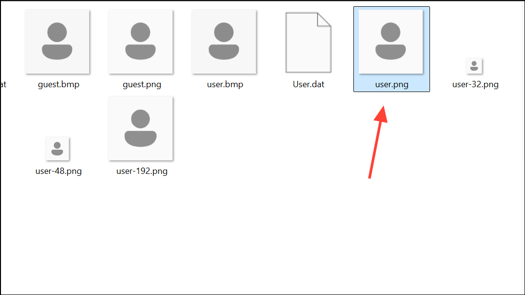 Remove Default Sign In User Account Picture on Windows 11