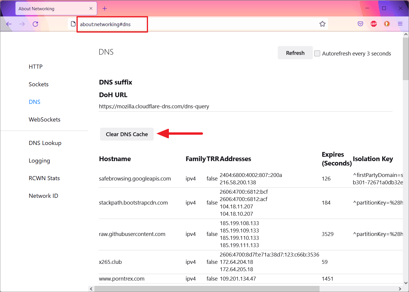 How to Flush DNS on Windows 11