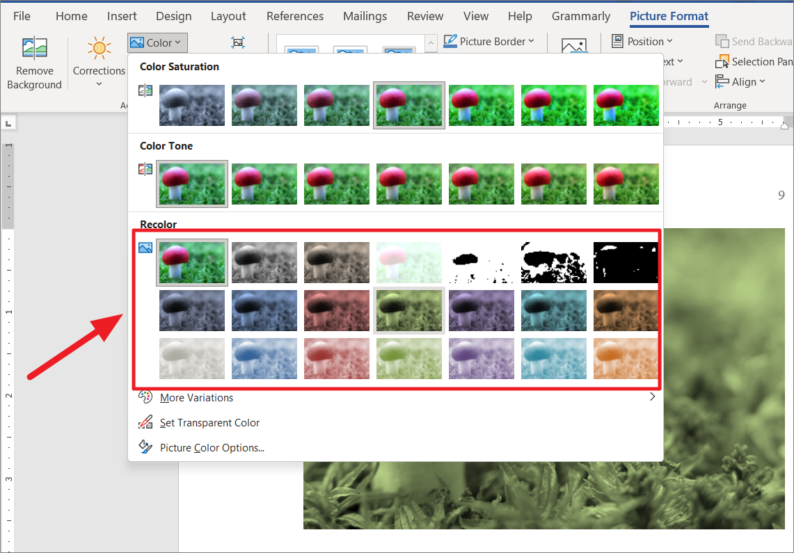 How to Change Image Color in Word, Excel, and PowerPoint