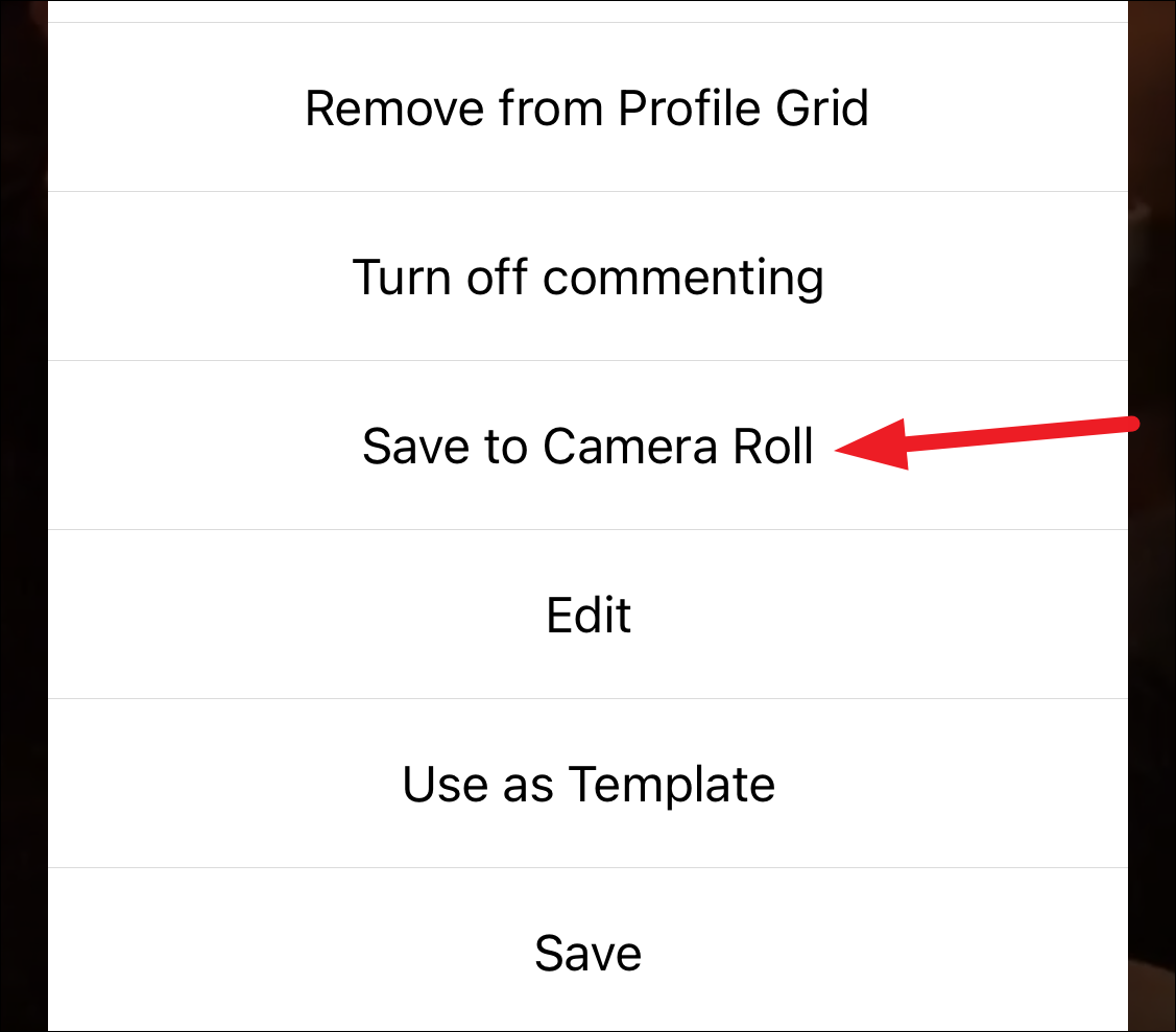 How to Save Instagram Reels to Camera Roll on iPhone