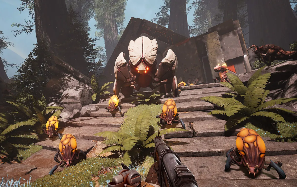 Voidtrain Witch Islands puzzles — how they work and simple solves