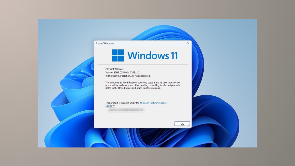 Check Version and Build on Windows 11
