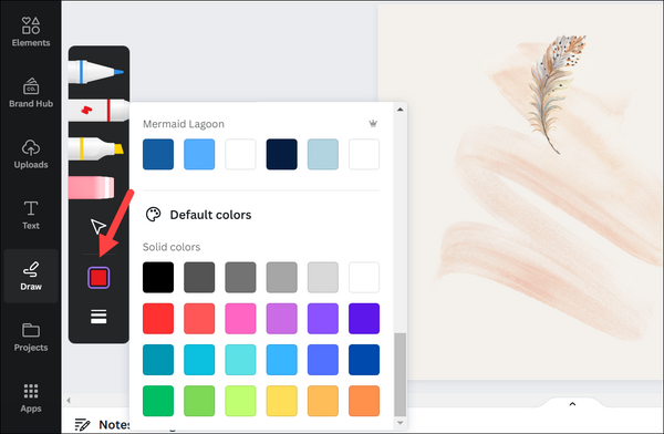 How to Use Canva Draw