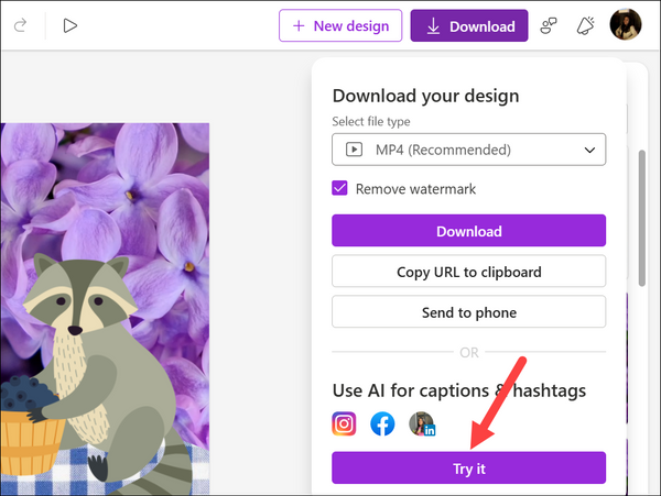 How to Use Microsoft Designer