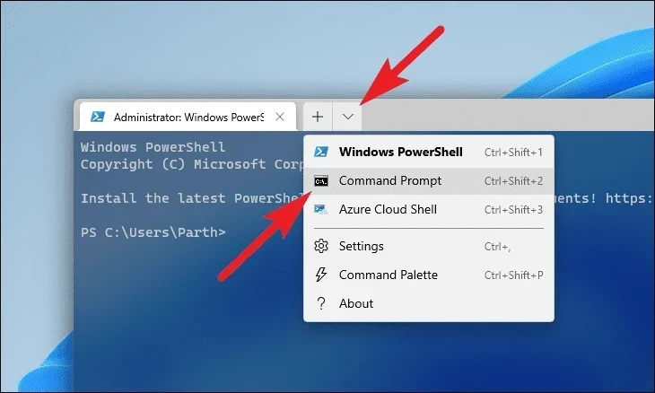 How to Fix WerFault.exe Error in Windows 11 How to Fix WerFault.exe Error in Windows 11
