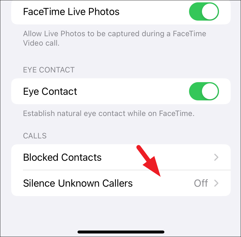 How to Silence Unknown Callers in FaceTime on iPhone