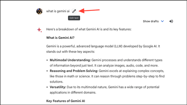 How to Use Gemini AI