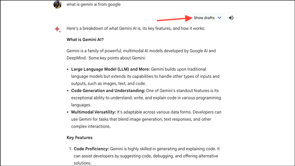 How to Use Gemini AI