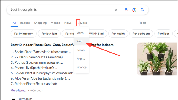 How to Narrow Your Google Search Results With the 'Web' Filter