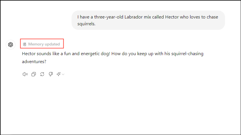 How to use ChatGPT's Memory feature
