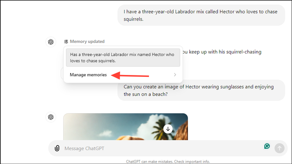 How to use ChatGPT's Memory feature