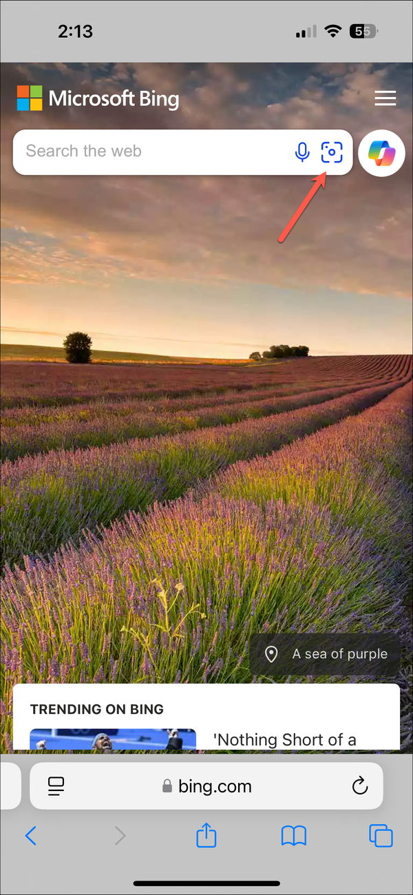 How to reverse image search from your phone