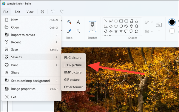 How to Open HEIC File on Windows 11