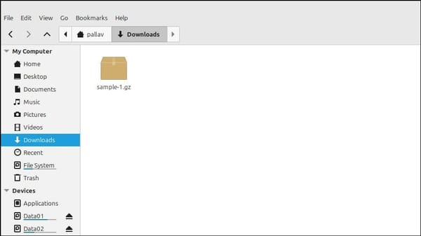 How to Unzip gz File in Linux
