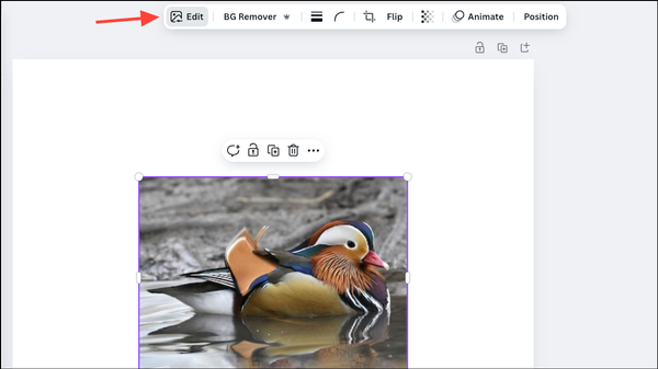 How to expand any image using image-expanding tools
