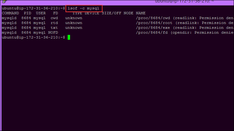 How To Monitor And Manage Linux System Resources With Terminal Commands