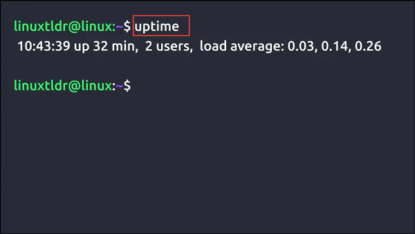 How to monitor and manage Linux system resources with terminal commands
