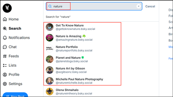 What are Feeds on Bluesky and how to use them