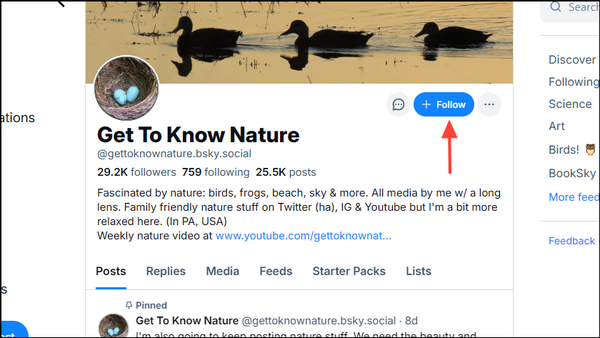 What are Feeds on Bluesky and how to use them