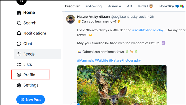 What are starter packs on Bluesky and how to use them