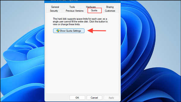 How to use Disk Quotas on Windows 11 to limit user storage