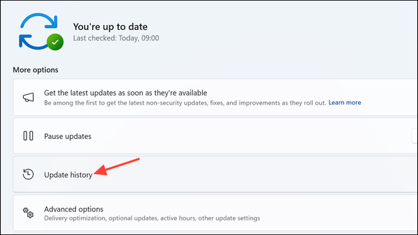 Quick Machine Recovery Setup and Usage for Windows 11 Boot Failures