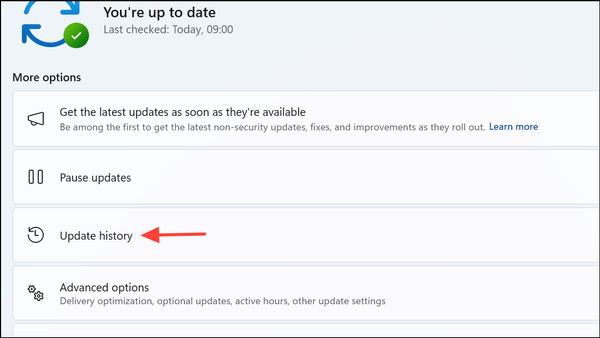 How to Fix Install Error 0x80070103 in Windows 11