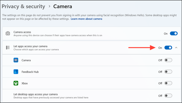 Fix Webcam Not Working in Windows 11 Apps