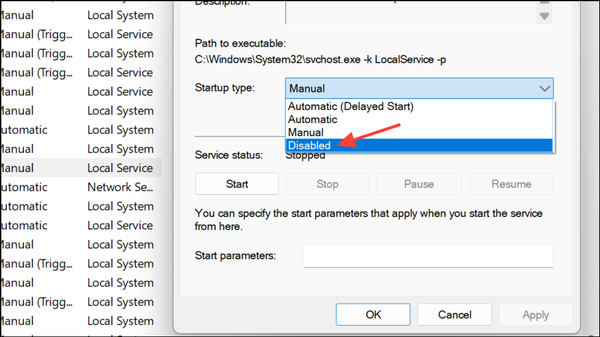 Disable WorkloadsSessionHost in Windows Environments