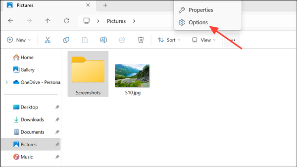 Add or Remove Columns in Windows 11 File Explorer