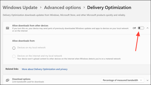 Turn Off Delivery Optimization in Windows 11