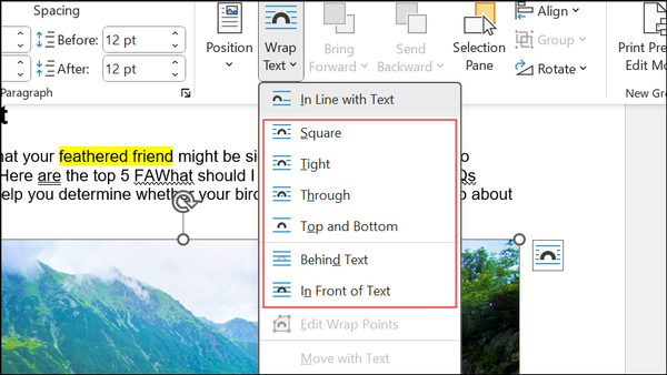 How to Group Text and Pictures in Microsoft Word
