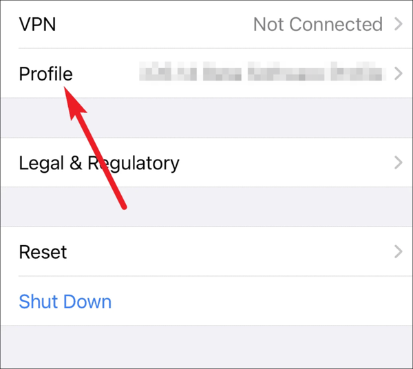 How to Trust an App on iPhone