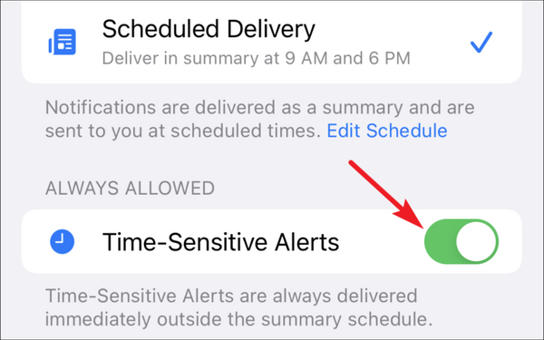 How to Enable or Disable Time-Sensitive Notifications on iPhone