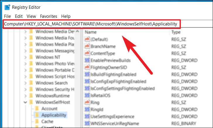 How to Register for Windows 11 Dev Channel from Insider Preview Program